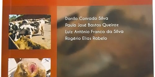 Dermatite Digital Bovina - AprimoryVet | Cursos e Consultoria